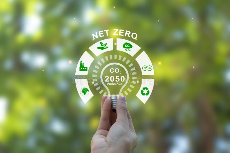 Net Zero Emissions by 2050,Hand Holding Light Bulb with Icons Energy ...
