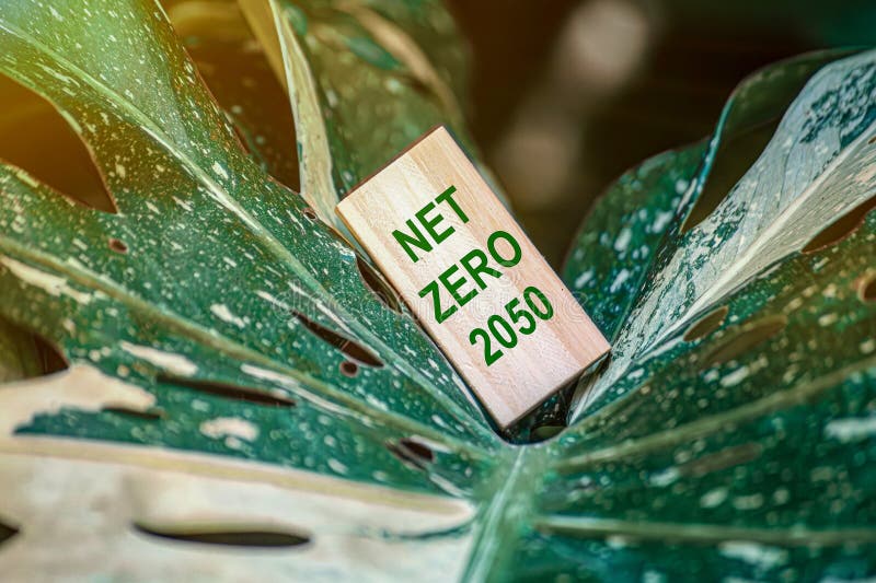 Net Zero Emissions.Net Zero , Carbon Neutral Concept. Net Zero ...