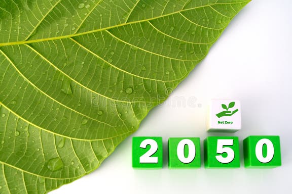 Netzero 2050 Stock Photos - Free & Royalty-Free Stock Photos from ...