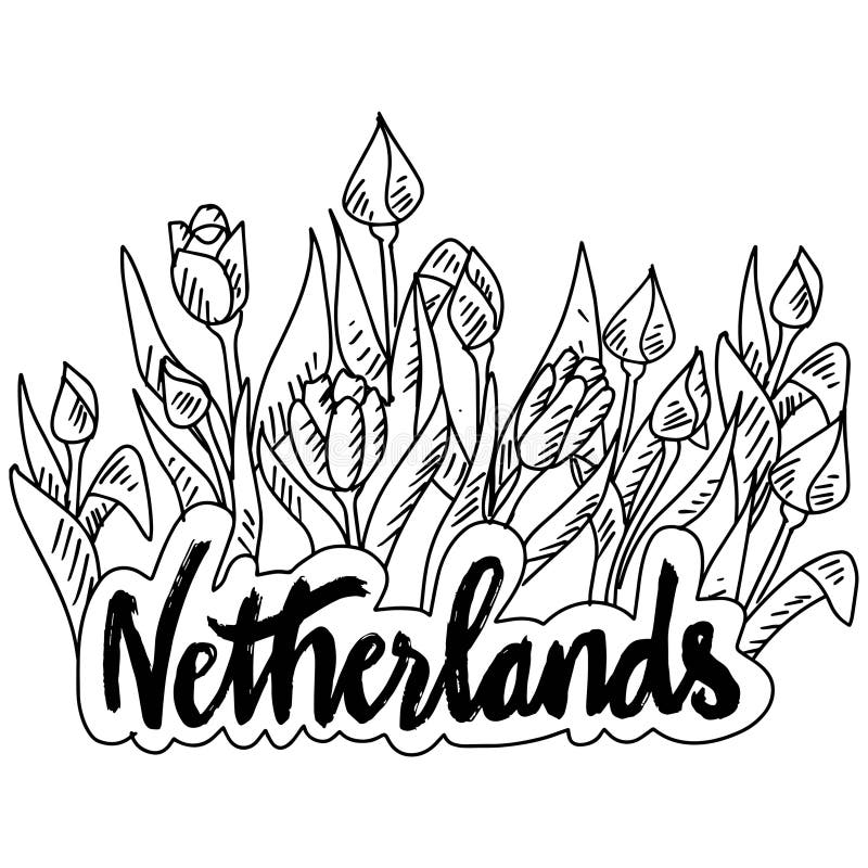 Netherlands Hand Drawn Lettering with Tulips. Stock Vector ...