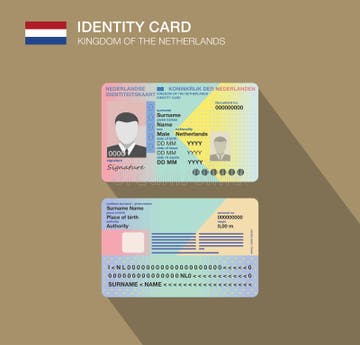 Personal Identity Card Front Back Vector Concept Stock Illustrations ...