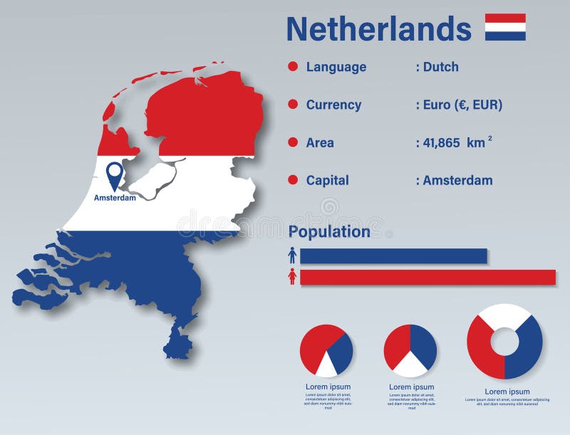 Netherlands Infographic stock vector. Illustration of graphic - 312488096