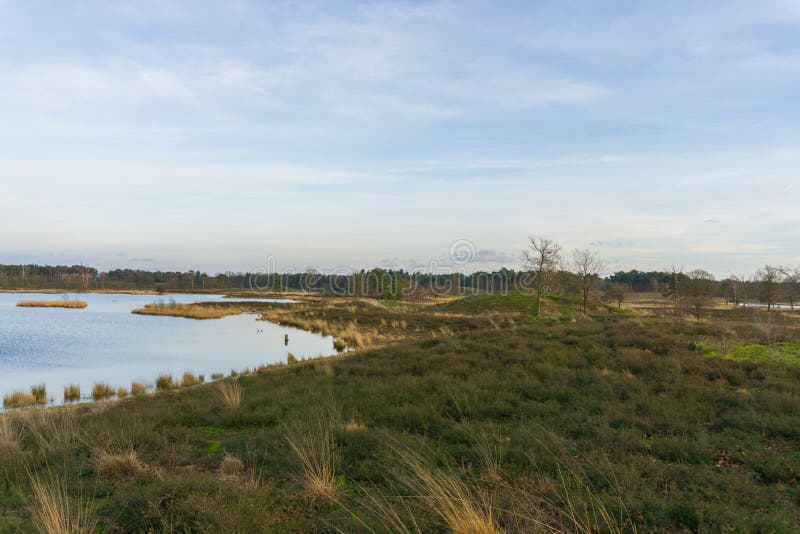 Netherlands lake stock photo. Image of nature, skies - 64577678