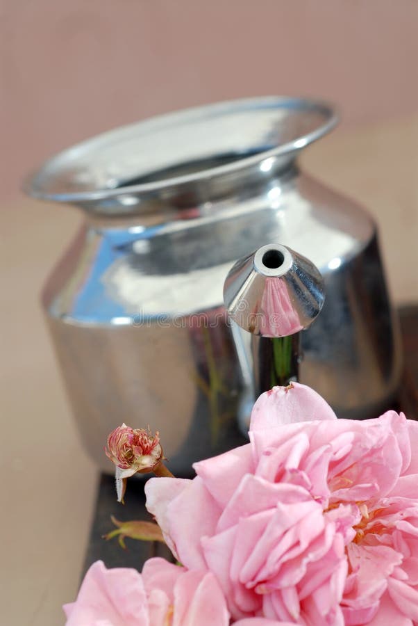 Neti Pot stock image. Image of indian, health, herbal - 4147415