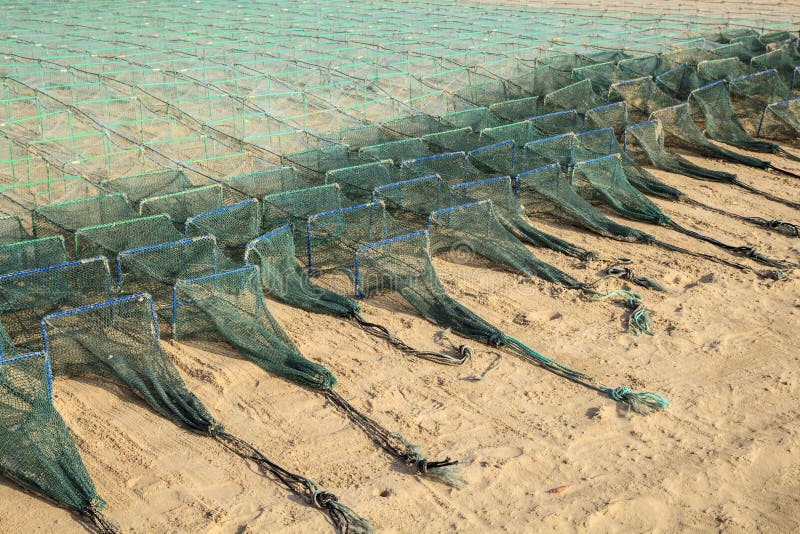 Nets for Catching Crabs and Shrimp Laid Out on the Shore To Dry Stock ...