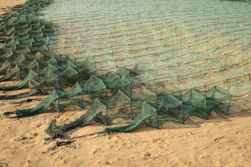 Nets for Catching Crabs and Shrimp Laid Out on the Shore To Dry Stock ...
