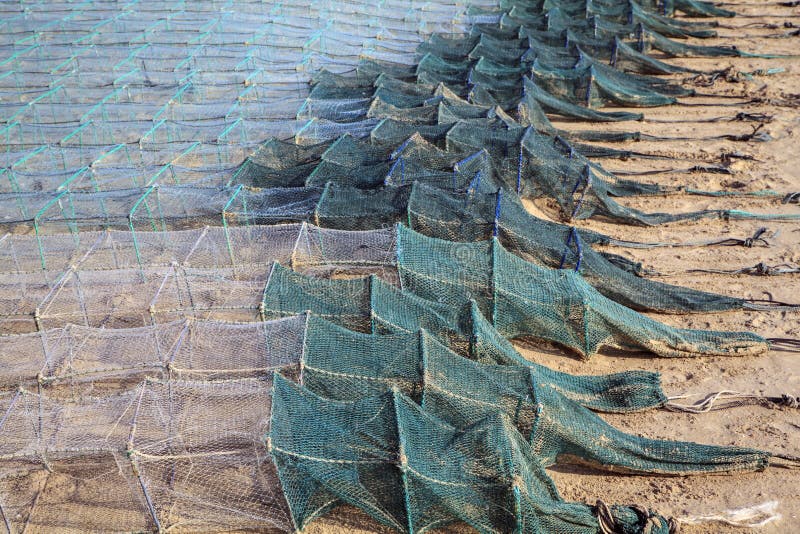 Nets for Catching Crabs and Shrimp Laid Out on the Shore To Dry Stock ...