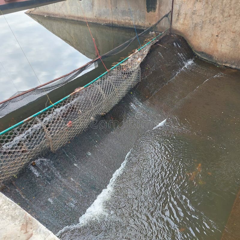 Nets in the Dam To Catch Trash Stock Photo - Image of catch, trash ...