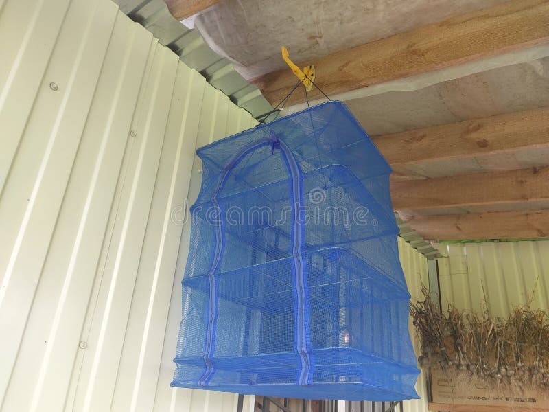 Nets for Drying Fish, Mushrooms and Fruits Stock Image - Image of tasty ...
