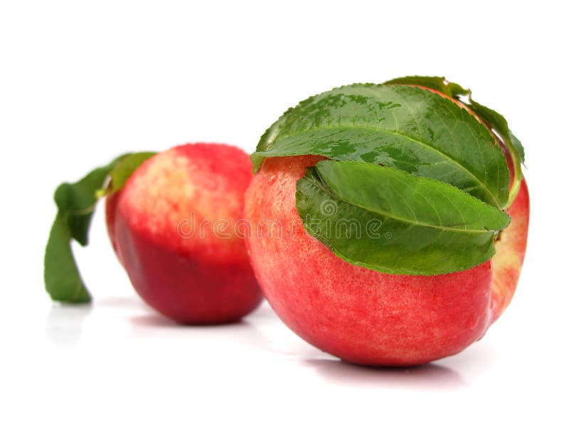 Nettarina immagine stock. Immagine di frutte, taglio - 10396947