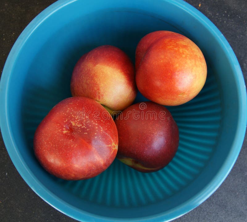 Nettarina fotografia stock. Immagine di fiori, rosso - 41308154