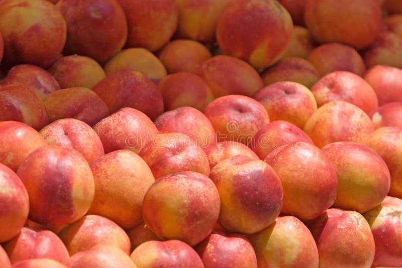 Nettarine immagine stock. Immagine di mercato, sano, vitamina - 2509631