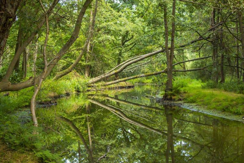 Nette River, Lower Rhine Region, Germany Stock Image - Image of lower ...