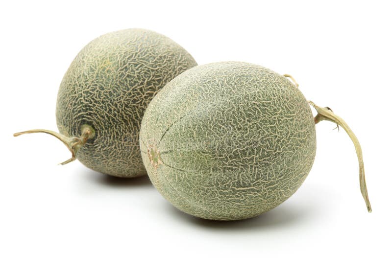 Netted melon stock photo. Image of isolated, healthy - 149118282