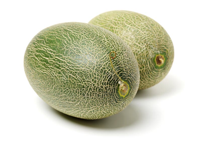 Netted melon stock photo. Image of green, meat, andes - 149118234