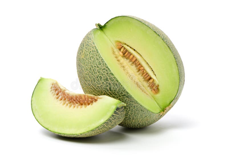 Netted melon stock image. Image of mesh, present, simple - 159406629