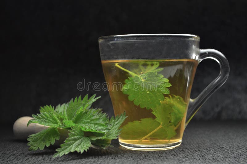 Nettle Bio Tea Herbal Spring Stock Photo - Image of aromatic, drink ...