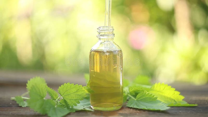 Nettle Essential Oil in Beautiful Bottle on Table Stock Footage - Video ...