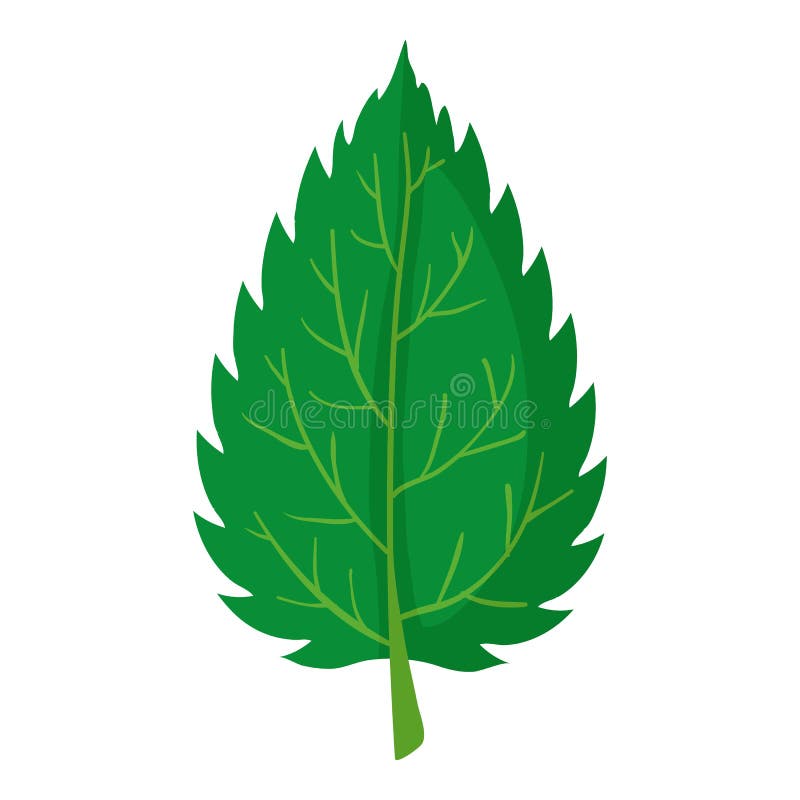 Nettle Tree Stock Illustrations – 321 Nettle Tree Stock Illustrations ...