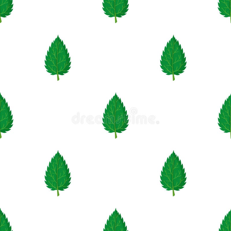 Nettle Leaf Pattern Seamless Vector Stock Vector - Illustration of ...