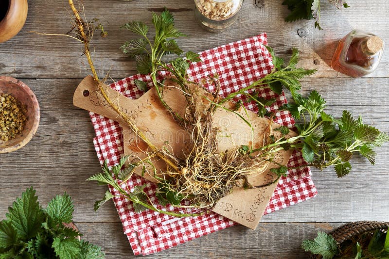 Nettle Root on a Wooden Table, Top View Stock Image - Image of ...