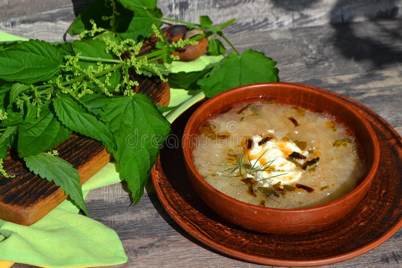 Nettle Soup on Ceramic Bowl on Rustic Table. Russian Green Shchi with ...