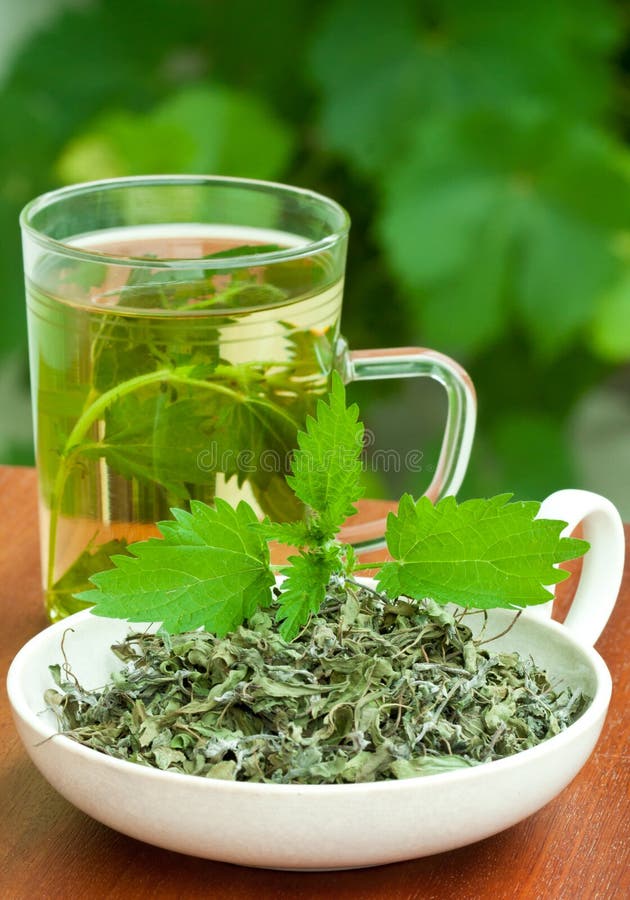 Nettle tea stock photo. Image of leaf, drink, nettle - 25721398