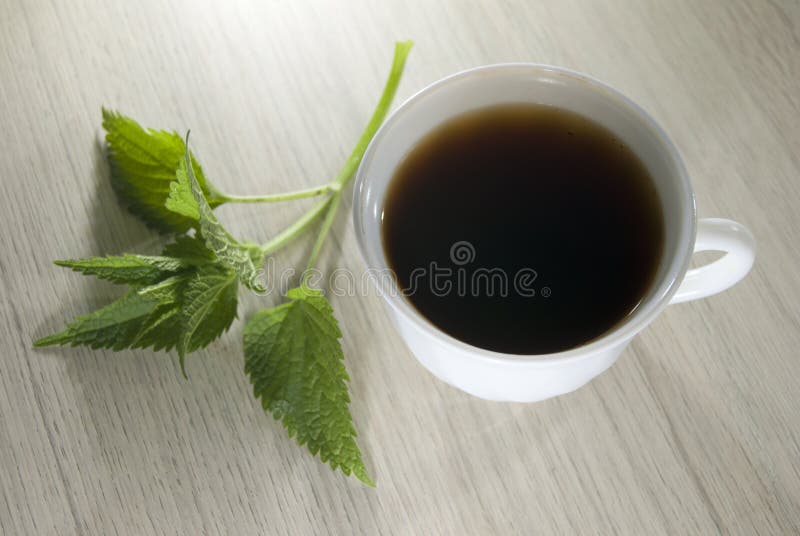 Nettle tea in a cup stock image. Image of drink, beverage - 57206371
