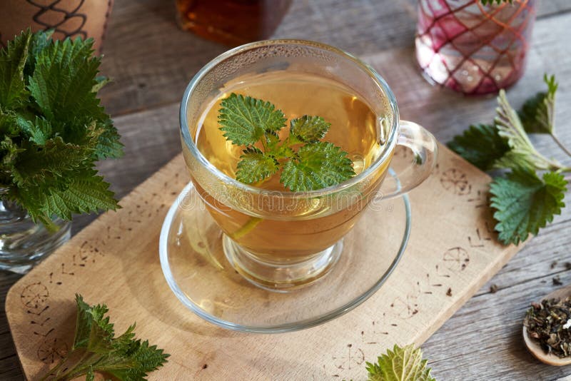 Nettle Tea in a Cup with Fresh Leaves Stock Photo - Image of ...