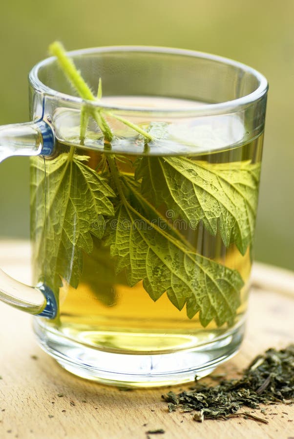 Nettle stock photo. Image of full, plant, weed, vertical - 32525184