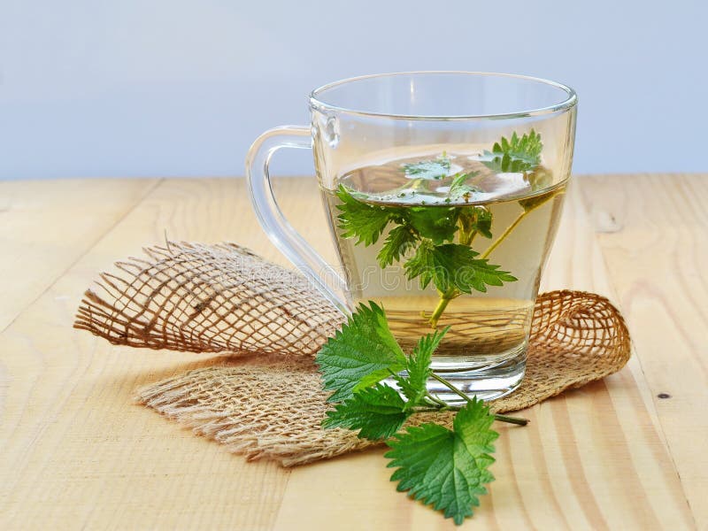 Nettle tea stock image. Image of remedy, herb, therapy - 39641087