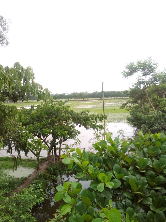 609 Netural Stock Photos - Free & Royalty-Free Stock Photos from Dreamstime