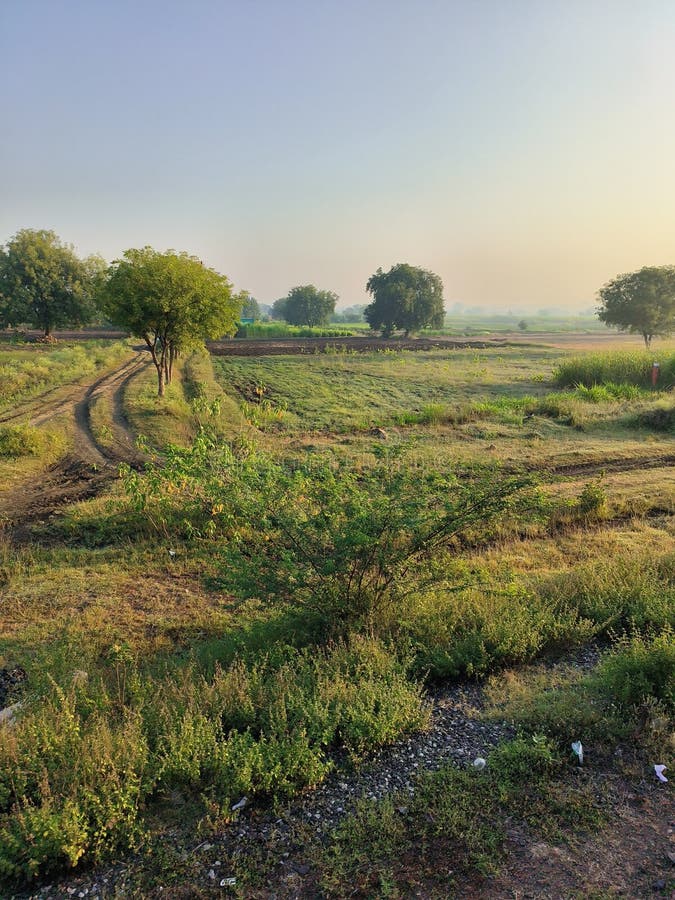 Netural nature stock photo. Image of nature, indian - 261429704