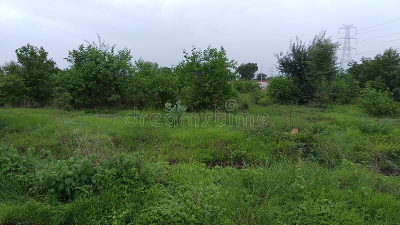 Netural stock photo. Image of rain, netural, sesion - 121938594