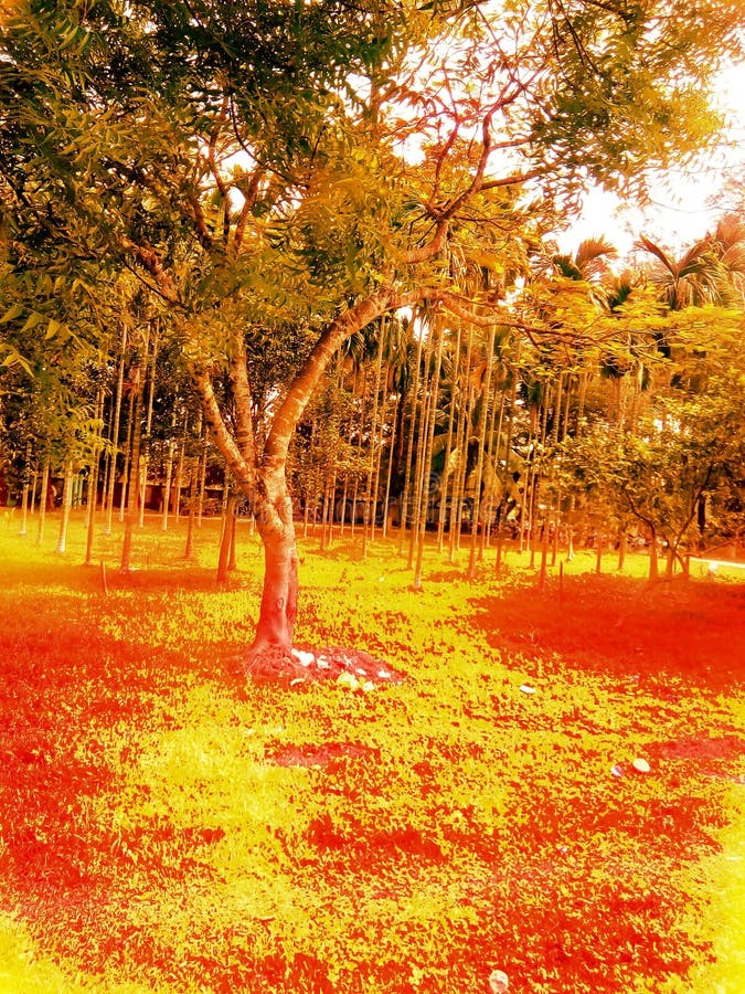 609 Netural Stock Photos - Free & Royalty-Free Stock Photos from Dreamstime