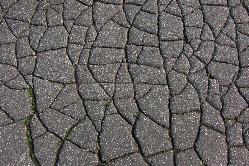 A Network of Black Cracks on the Asphalt Surface. Road Texture with ...