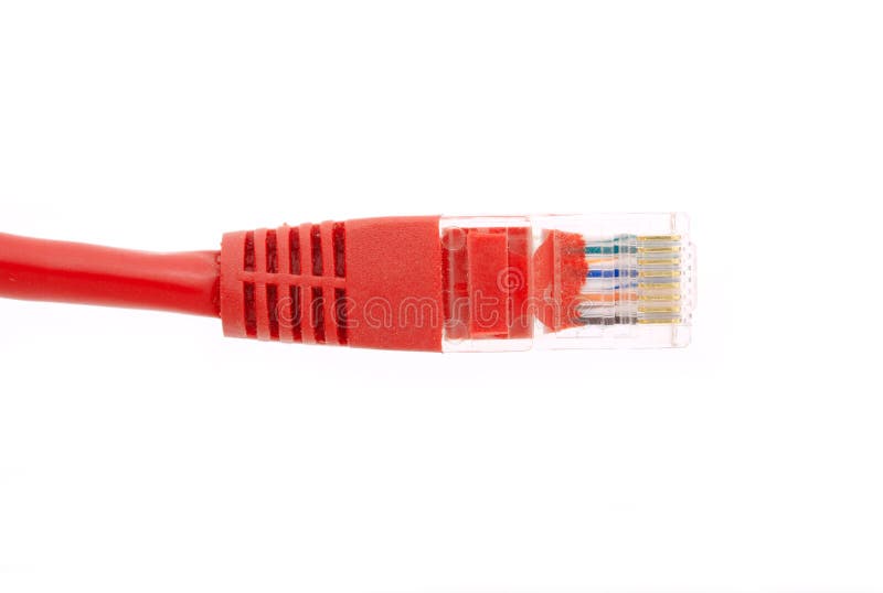 Red computer network cable stock photo. Image of computer - 9121874
