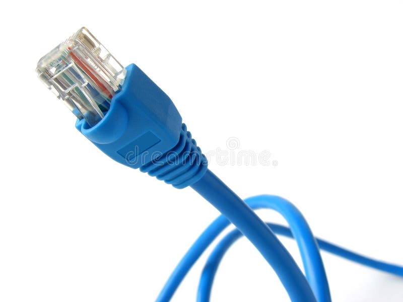 Network cable stock photo. Image of network, blue, connection - 1883324