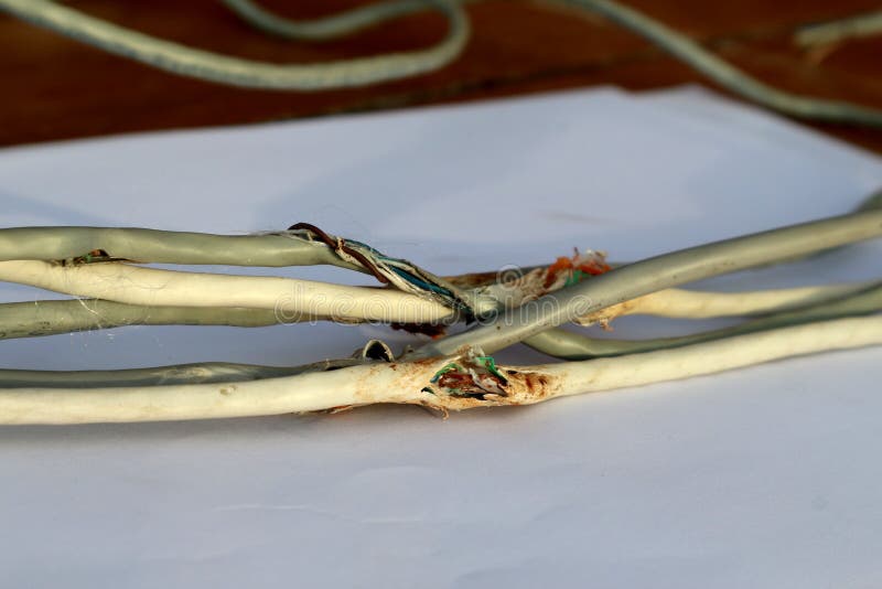 Network Cable is Broken. Closeup Shot of a Broken UTP Ethernet Cable ...