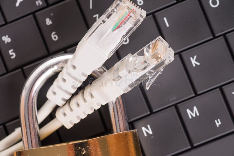 Network cable stock photo. Image of encryption, identity - 49952688