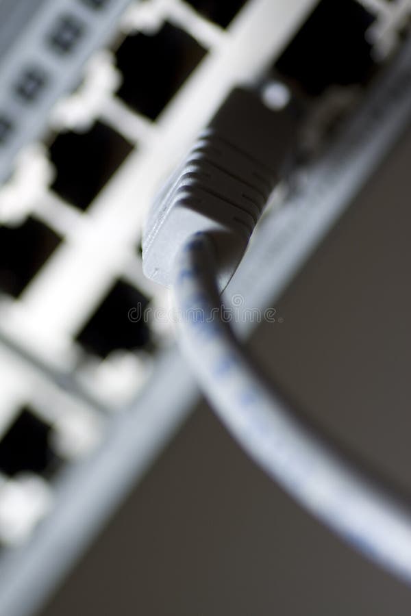 Network Cable Connected To a Switch Stock Photo - Image of connections ...