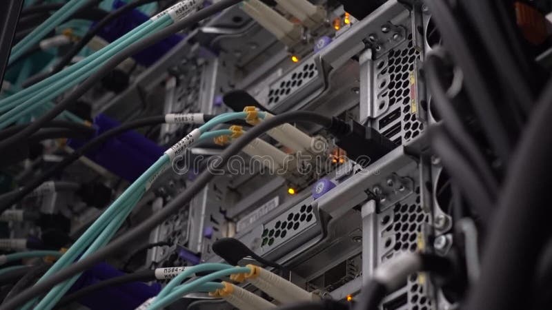 Network Cable Connecting on Network Core Switch. Close Up Stock Video ...