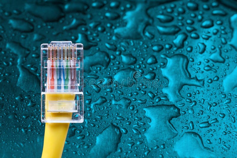 Network Cable Connector, LAN Cable, Home Internet Router with Blue RJ45 ...