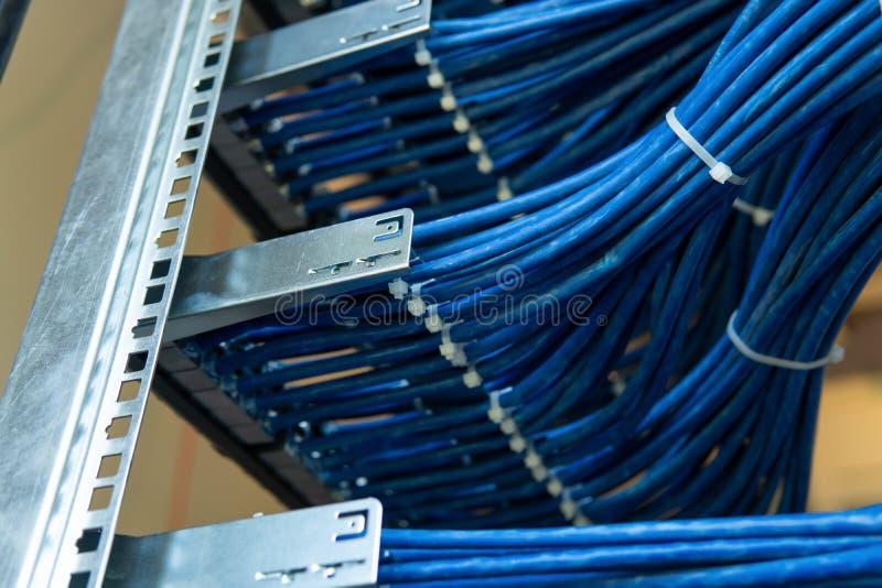 Network Cable on a Network HUB. Lan Cable Management Stock Image ...