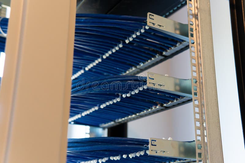 Network Cable on a Network HUB. Lan Cable Management Stock Photo ...
