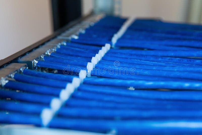 Network Cable on a Network HUB. Lan Cable Management Stock Photo ...