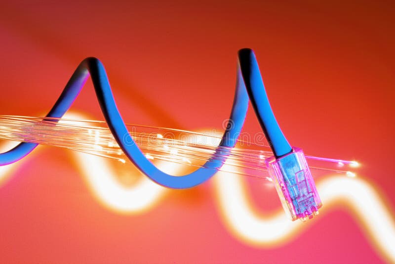 Network Cable and Optical Fibres Stock Photo - Image of networking ...