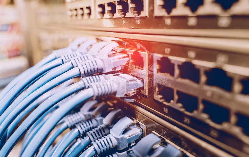 Network cable panel stock photo. Image of ethernet, cord - 184169652