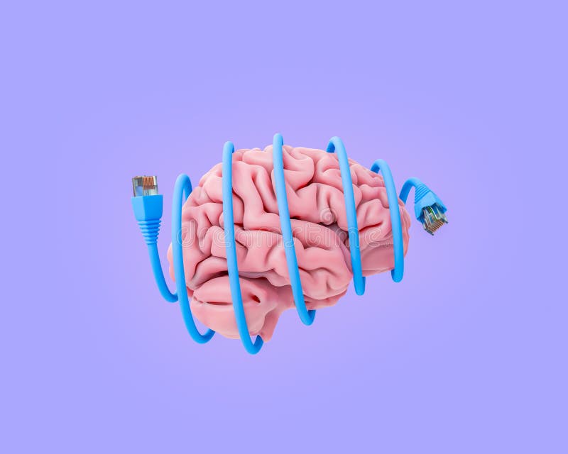 Network Cable Wrapping a Human Brain Stock Illustration - Illustration ...