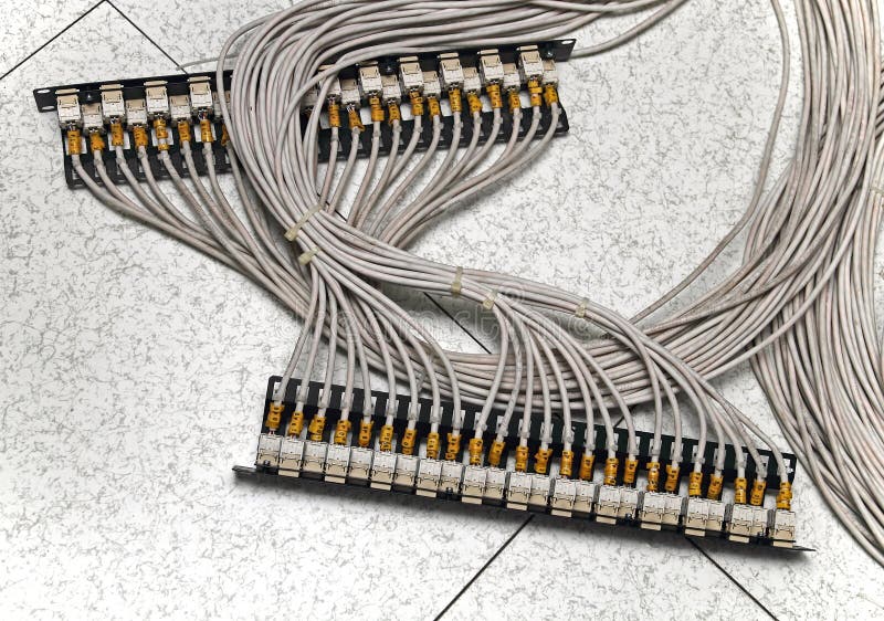 Blue Network Snake stock image. Image of connection, plug - 106385